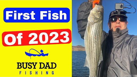 First Fish 2023 at Lake Mead | Surprise Water Level at Hatchery Saddle ...